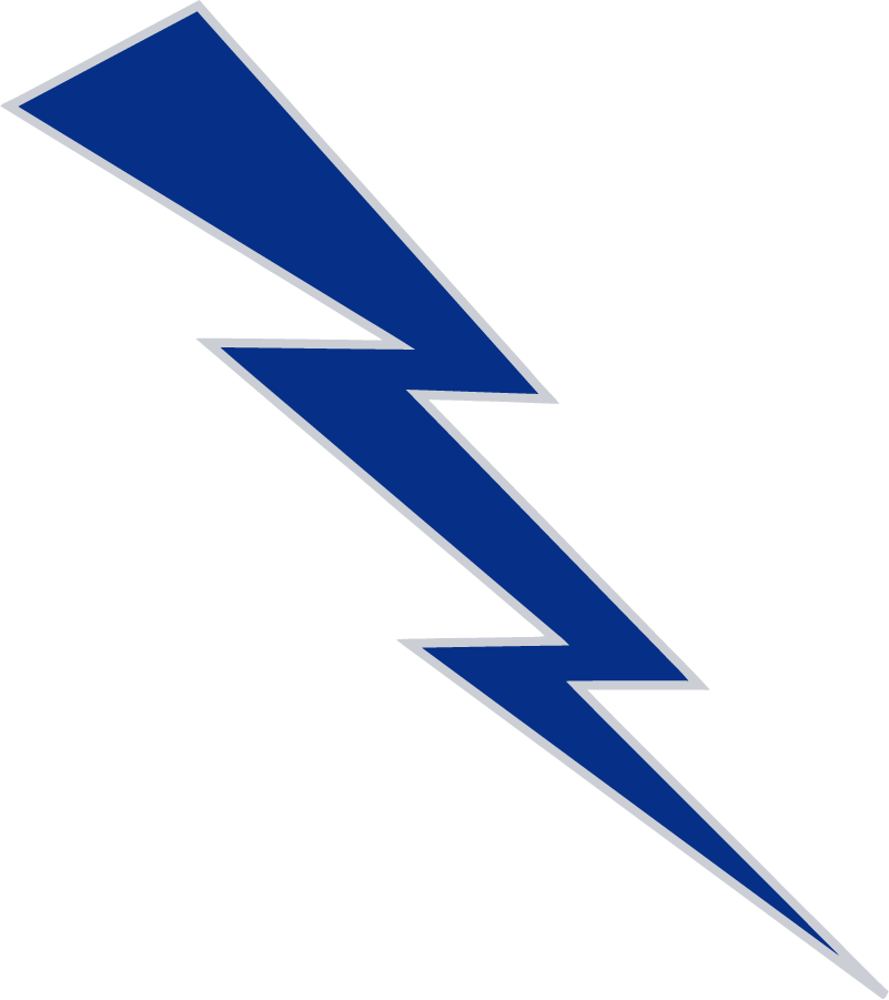 Air Force Falcons Logo - Secondary Logo - NCAA Division I (a-c) (NCAA a-c) - Chris Creamer's ...