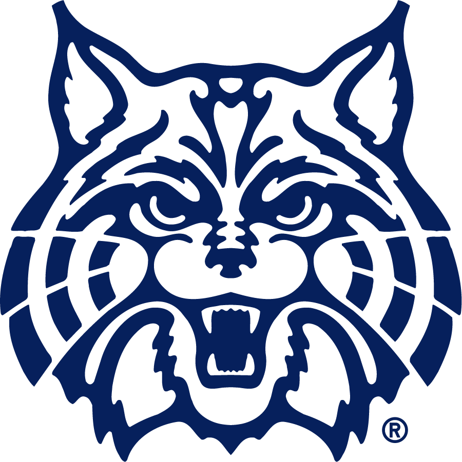 Arizona Wildcats Secondary Logo - NCAA Division I (a-c) (NCAA a-c ...