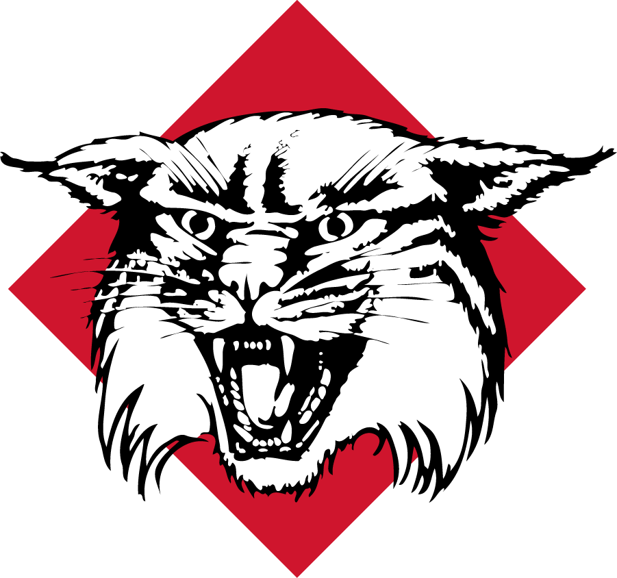 Davidson Wildcats Secondary Logo - NCAA Division I (d-h) (NCAA d-h ...