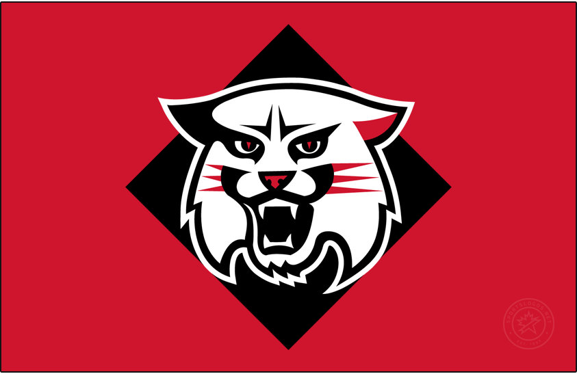 Davidson Wildcats Secondary Logo - NCAA Division I (d-h) (NCAA d-h ...