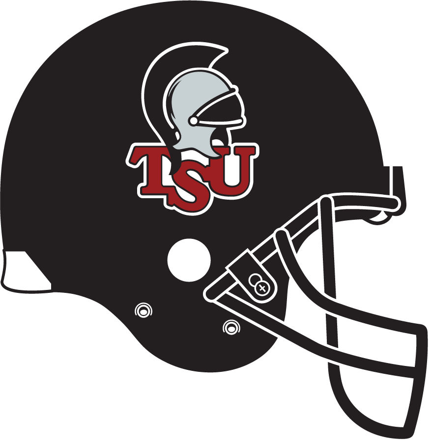 Troy Trojans - Helmet - NCAA Division I (s-t) (NCAA s-t) - Chris ...