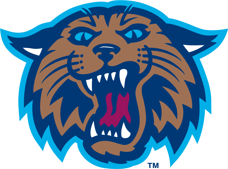 Villanova Wildcats Secondary Logo - NCAA Division I (u-z) (NCAA u-z ...