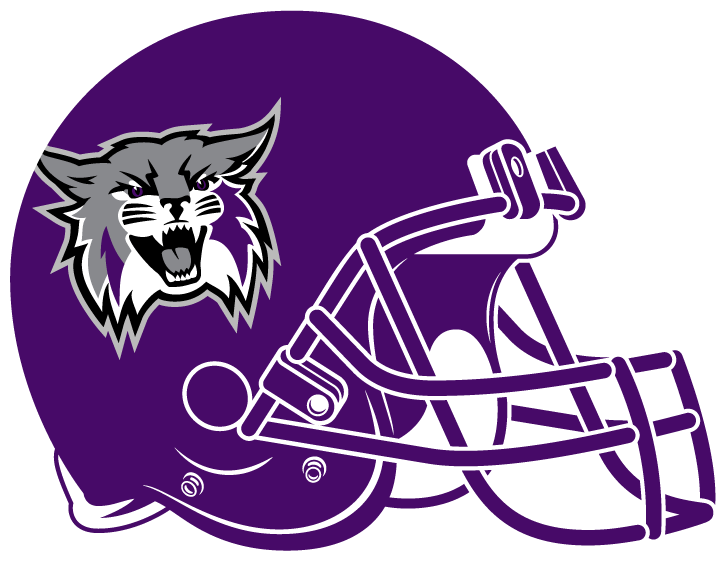 Weber State Wildcats Helmet - NCAA Division I (u-z) (NCAA u-z) - Chris ...