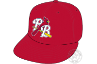 Palm Beach Cardinals Logo - Cap Logo - Florida State League (A) (FSL ...