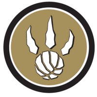 Raptors Considering Black and Gold Colour Scheme – SportsLogos.Net News