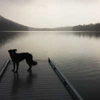 Lake Country DockHounds Announced as New American Association Team ...