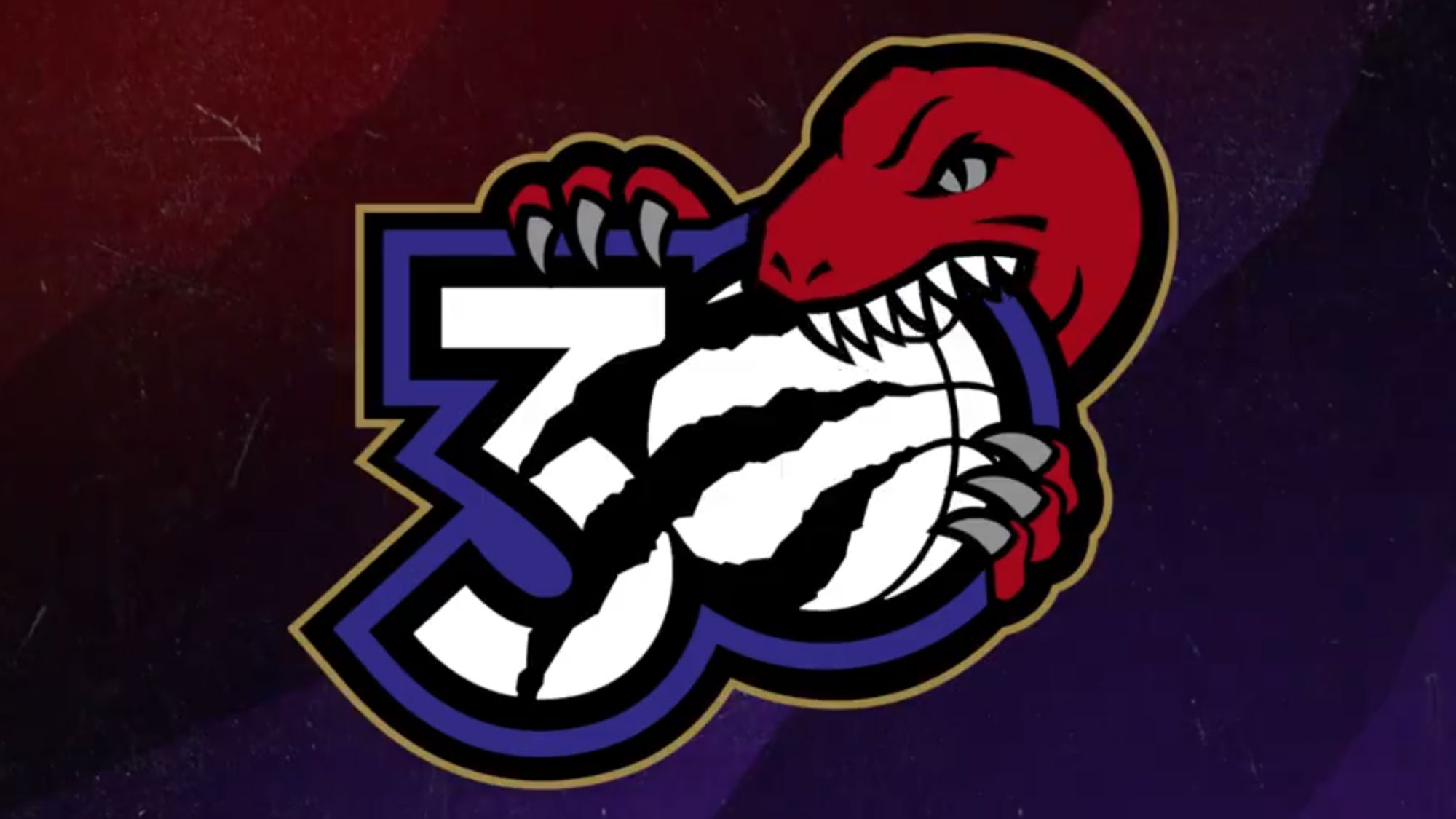 Toronto raptor store