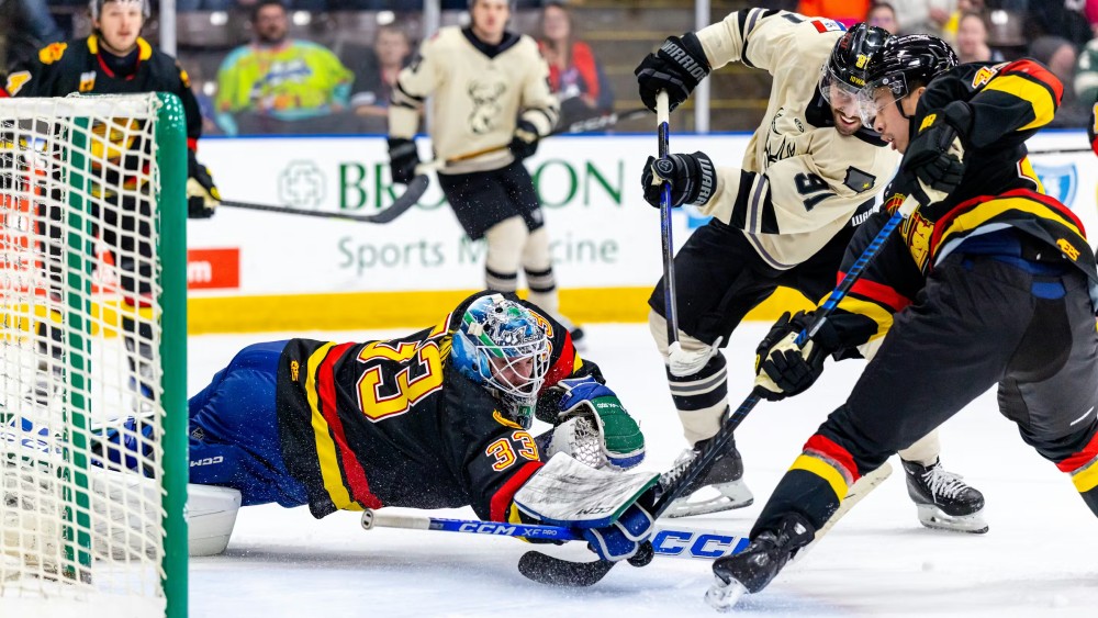 Courtesy Kalamazoo Wings